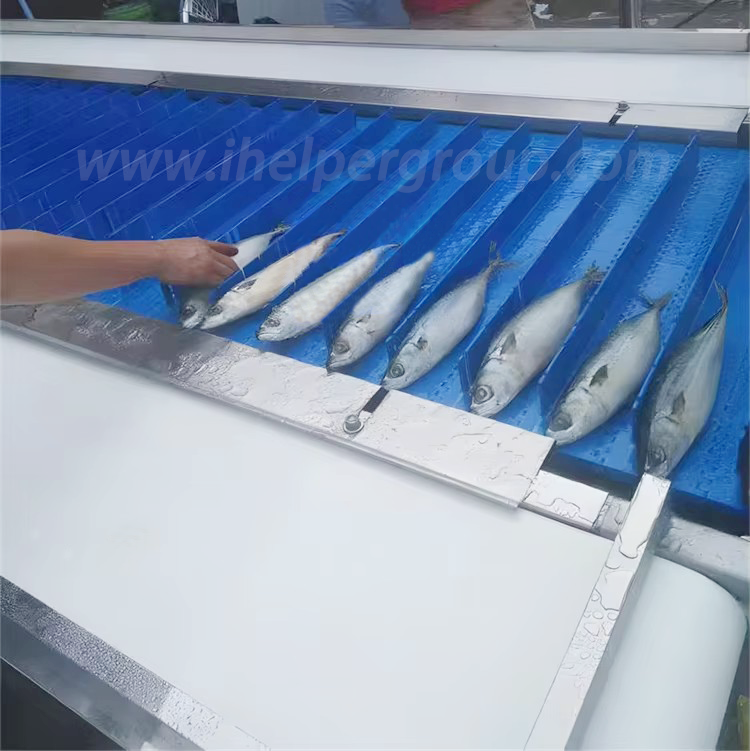 Industrial Fish Cutting Machine China Manufacturers Suppliers Factory ...
