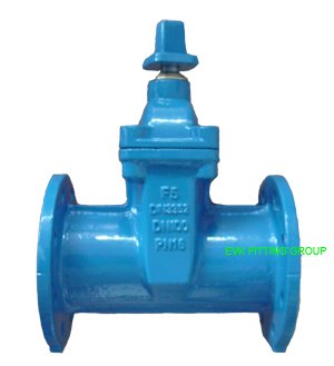 Din 3352 F5 Resilient Gate Valve, High Quality Din 3352 F5 Resilient ...