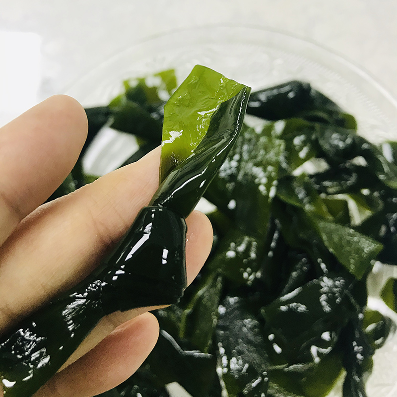 Salted Seaweed Laminaria Kelp Knot คุณภาพสูง Salted Seaweed Laminaria ...