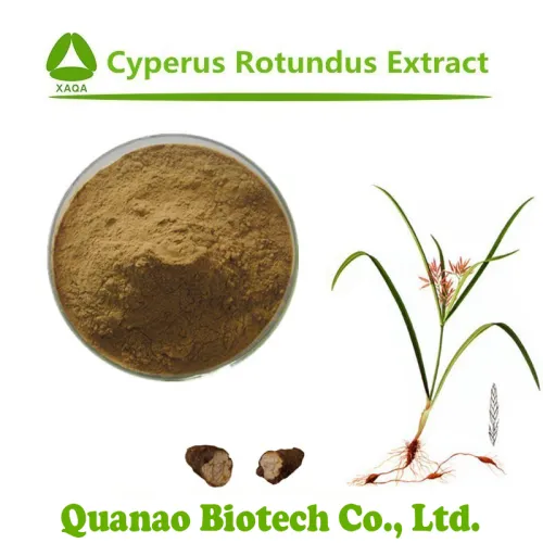 Cyperus Rotundus / Nut Grass Galingale Rhizome Extract, High Quality ...