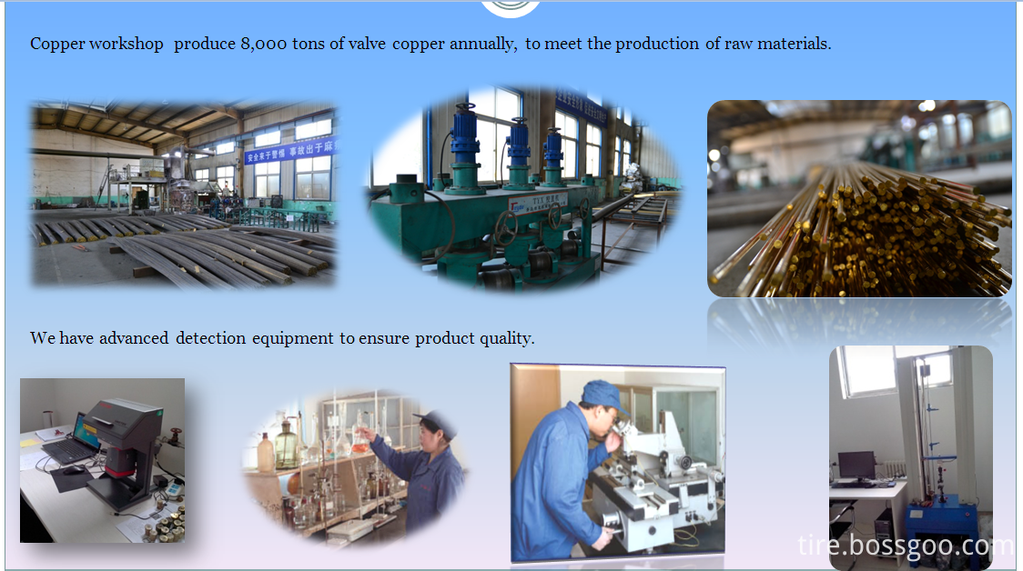 트럭 및 버스 Gt Tr-573 밸브, Bossgoo.com의 고품질 트럭 및 버스 Gt Tr-573 밸브