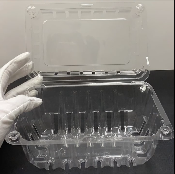 Portable Fruit Packaging Clamshell, High Quality Portable Fruit ...