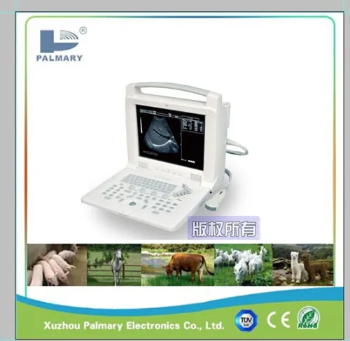 Full Digital Portable Veterinary Ultrasound Scanner, High Quality Full ...