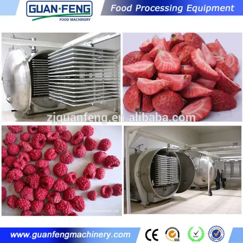 Vegetable Freeze Dryer / Instant Coffee Freeze Dried Machine, High ...