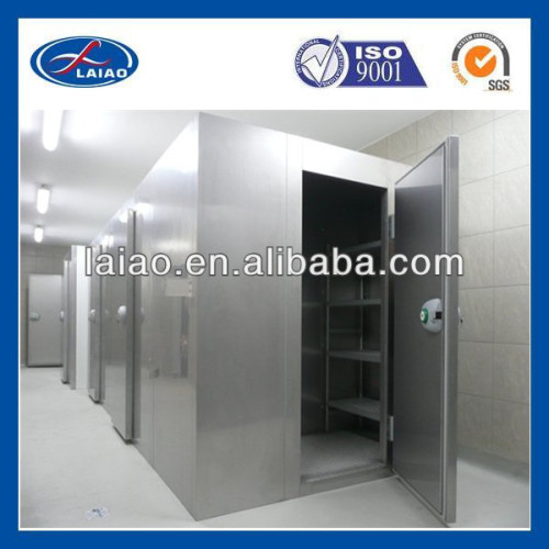 Clean Room Chicken Blast Freezer Supplier, High Quality Clean Room ...