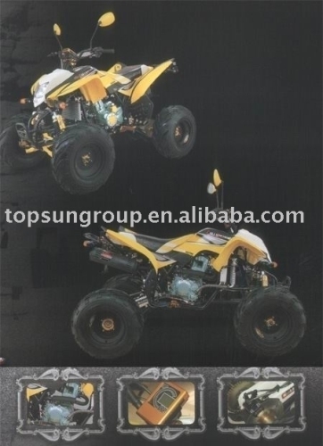 200cc/250cc Water Cooled Atv With Eec (ts200e-a9a), High Quality 200cc ...
