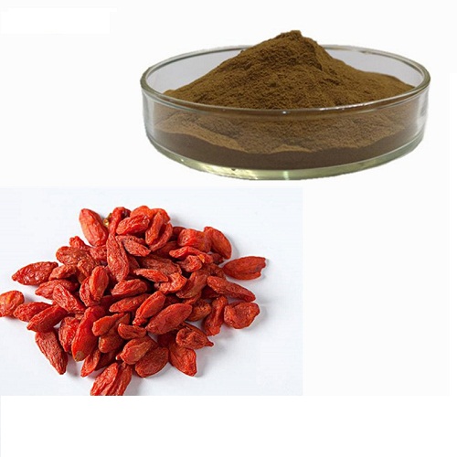 Goji Berry Extract, High Quality Goji Berry Extract on Bossgoo.com