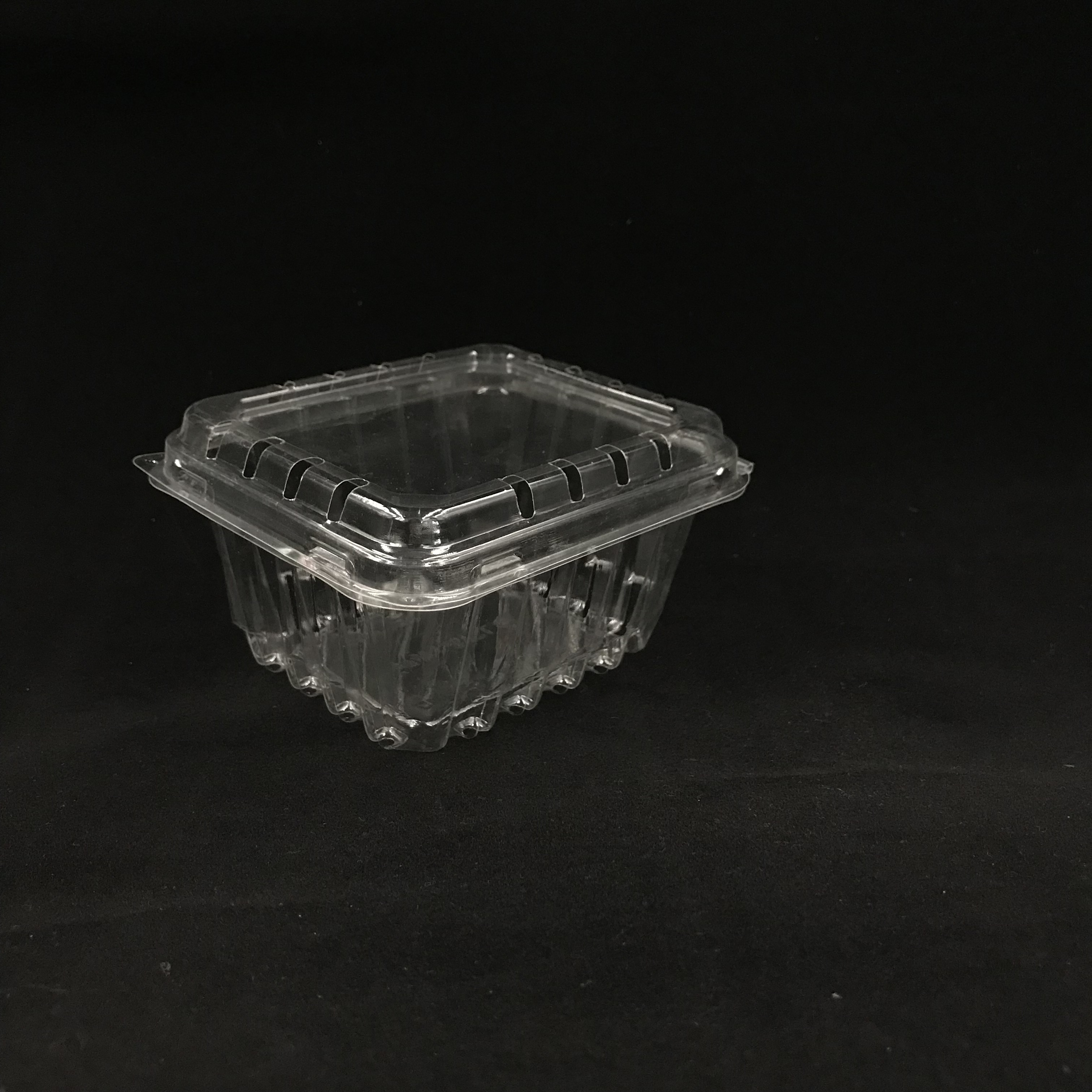 Transparent Disposable Plastic Food And Fruit Packaging Boxes, High ...