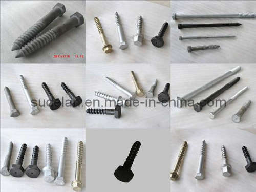Hex Head Spikes/ Different Types, High Quality Hex Head Spikes ...
