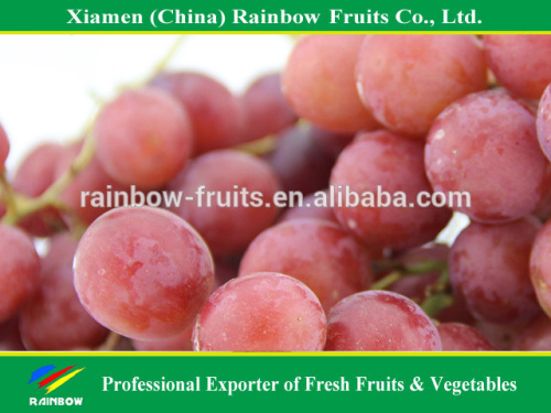 Fresh Fruit Of Yunnan Red Globe Grape With Good Taste Grapes Peru ...
