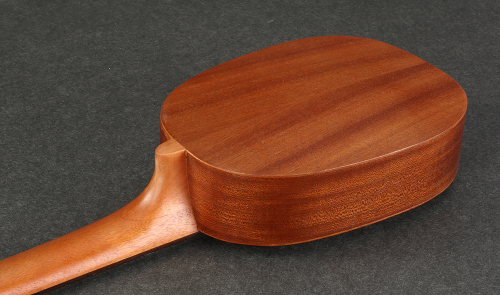 21 Inch Animal Graphics Ukulele, High Quality 21 Inch Animal Graphics ...