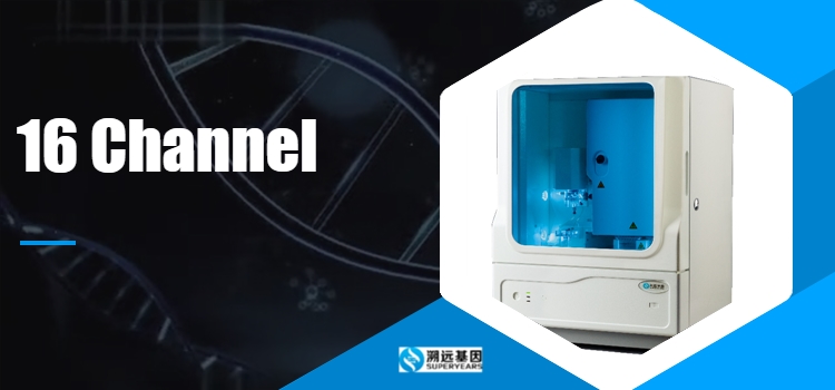 Molecular Diagnosis Sanger Sequencing Machine, High Quality Molecular ...