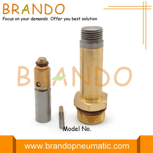 M17 Thread Seat Lpg Cng Solenoid Armature Assembly, High Quality M17 ...