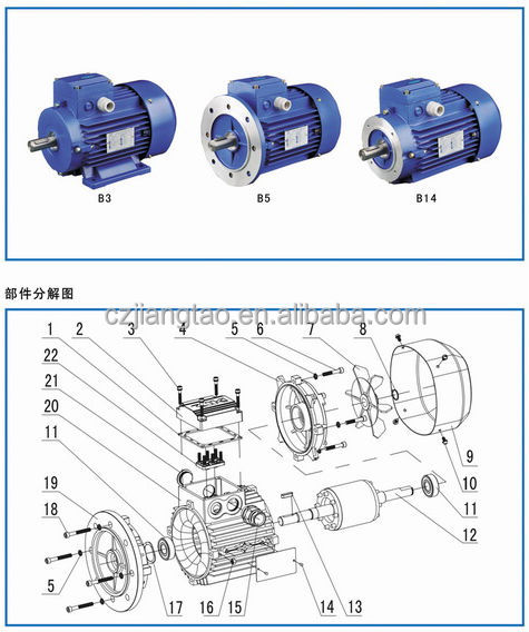 3 Phase Shaft Input Dynamo Motors, High Quality 3 Phase Shaft Input ...