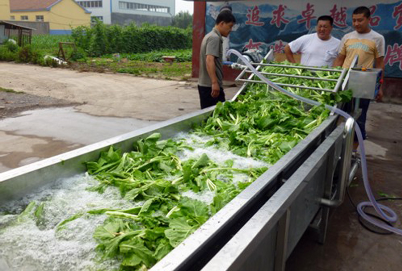 Lettuce Washing Machine Banana Washing Machine, High Quality Lettuce ...