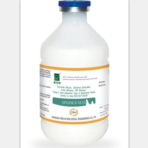 복합 Nd Ib Ai Ibd 백신, Bossgoo.com의 고품질 복합 Nd Ib Ai Ibd 백신