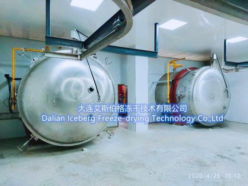 Continuous Batch Freeze Dryer, High Quality Continuous Batch Freeze ...