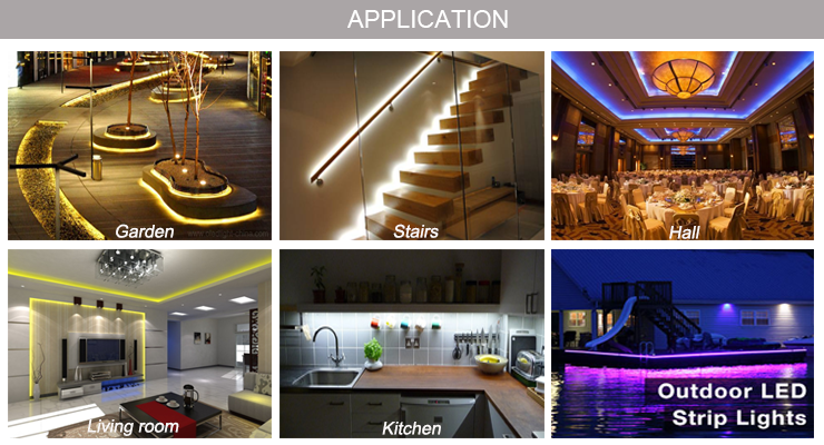 Addressable Waterproof Ws 2811 Rgb Led Strip - Ip68 Flexible Landscape ...