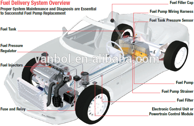 Fuel Pump Assembly For Peugeot 206, Citroen Berlingo, Xsara - 152581 ...