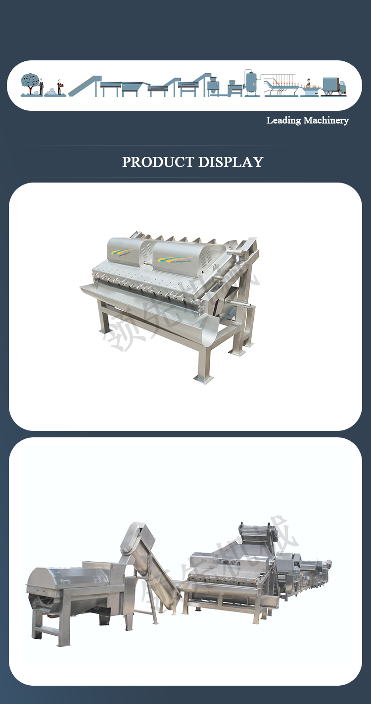 Automatic Lychee Processing Line And Peeling Machine, High Quality ...