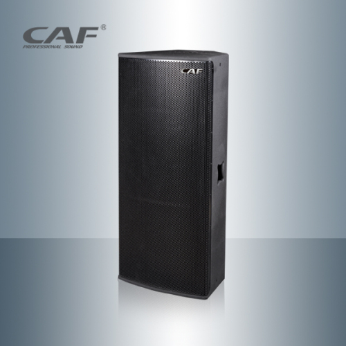 Caf Dual 15 Inch High Power Low Frequency Speaker, High Quality Caf ...
