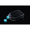 T175 cell culture flasks for adherent cells China Manufacturers ...