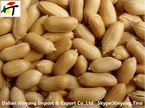 Fried Groundnut/roasted Salted Peanuts/groundnut Kernel, High Quality ...