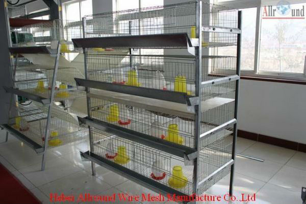 Poultry Egg Layer House In China , High Quality Poultry Egg Layer House ...