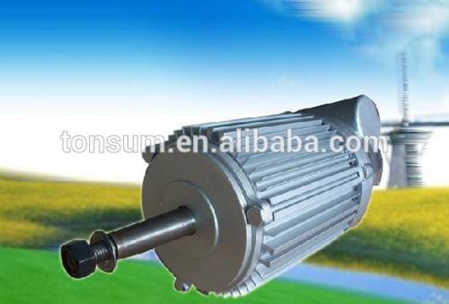 Wind Driven Generator Series Motor, High Quality Wind Driven Generator ...