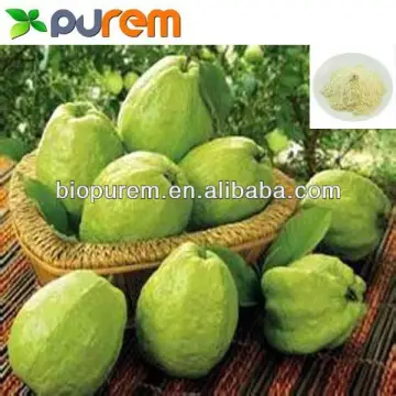 100% Natural Guava Powder/ Instant Guava Juice Powder/ Spray Dried ...