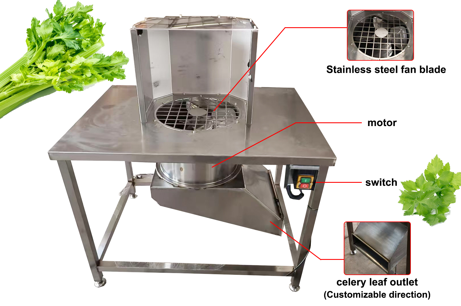 Stainless Steel Celery Leaf Picker & Deleafing Machine, High Quality ...