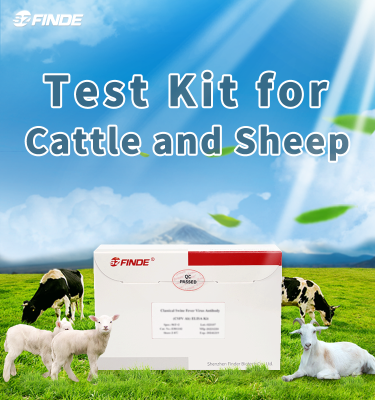 Pprv Antibody Elisa Test Kit: A Veterinary Instrument For Detecting ...