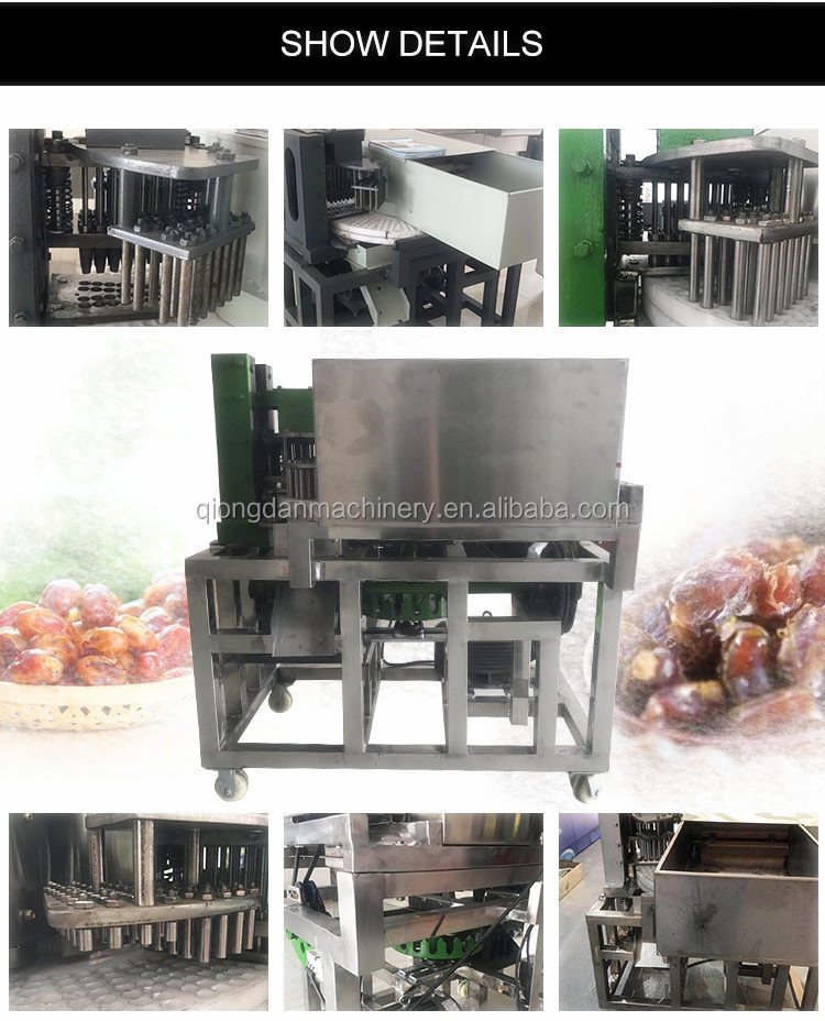 Date Palm Seed Removing Machine, High Quality Date Palm Seed Removing ...
