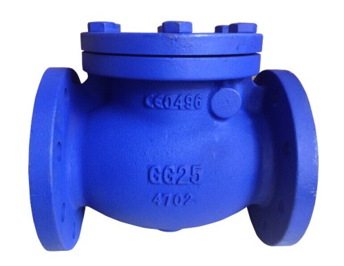 Din Grey Iron Swing Check Valve H44t-16, High Quality Din Grey Iron Swing Check Valve H44t-16 on ...