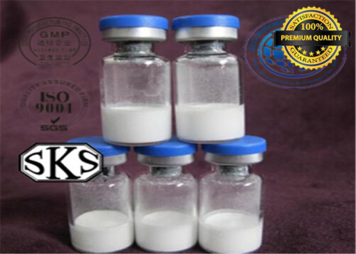 Dodder Seed, High Quality Dodder Seed on Bossgoo.com