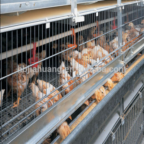 Layer Chicken Battery Cage, High Quality Layer Chicken Battery Cage on ...