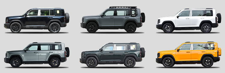 Adult Electric Suv: Great Wall Haval Menglong New Energy Vehicle, High ...