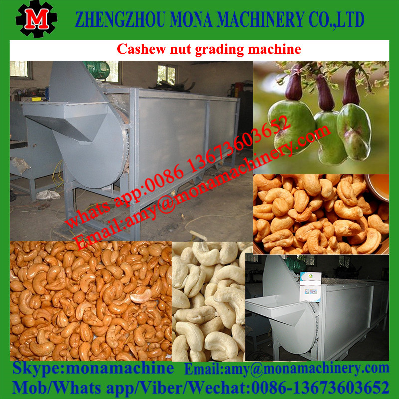 Large Productivity & Affordable Cashew Nut Shell Breaker And Kernel ...