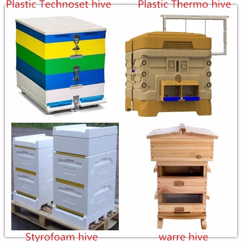 Factory Price National Bee Hive With Open Mesh Floor, High Quality ...