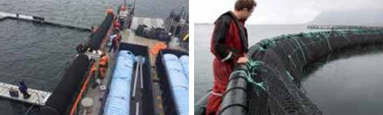 Pet Agriculture Fish Farm Netting Hexagonal Wire Mesh Econet, High ...