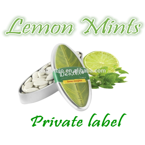 Fruit Candy Fruit Candy Brands Tablet Candy Cusom Shaped Mints, High ...