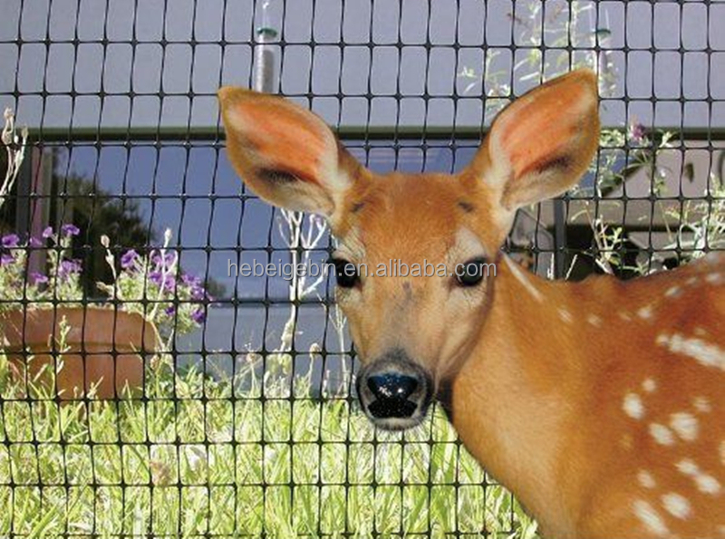 6ft To 8ft Poly Bop Deer Fence / Plastic Deer Fence, High Quality 6ft ...