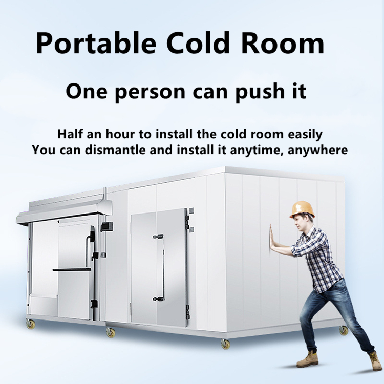20ft Freezer Container Cold Storage Room, High Quality 20ft Freezer ...