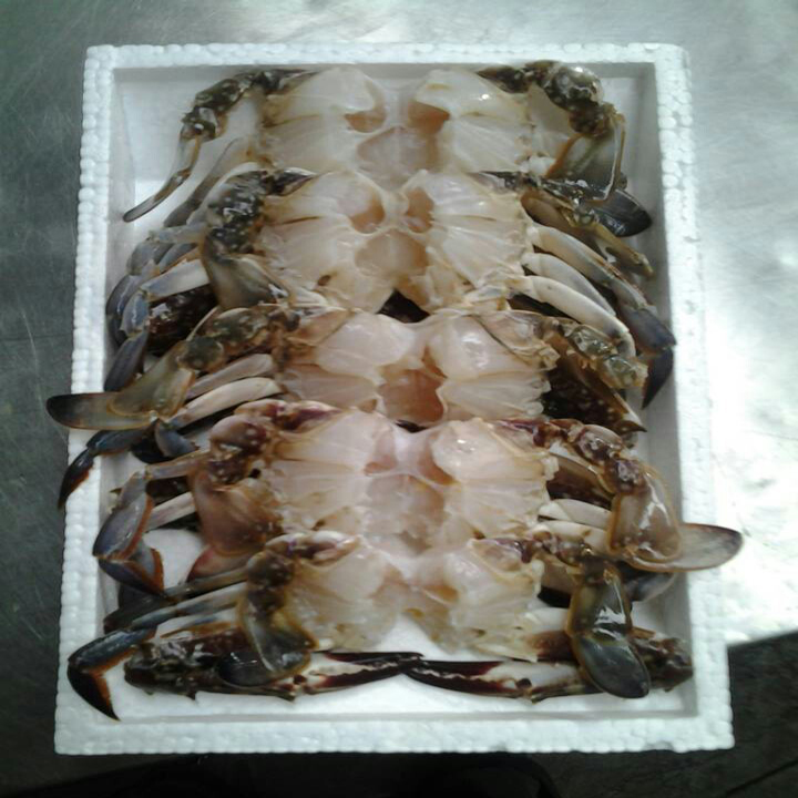 High Quality Export Blue Swimmer Many Other Species Exports Crab Frozen ...