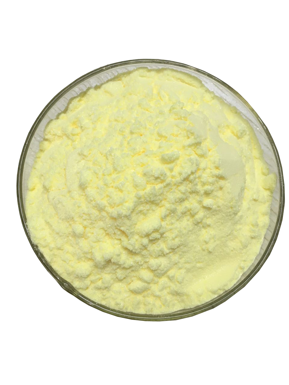 Oroxylum Indicum Extract 98% Chrysin Powder Anti-cancer, High Quality ...