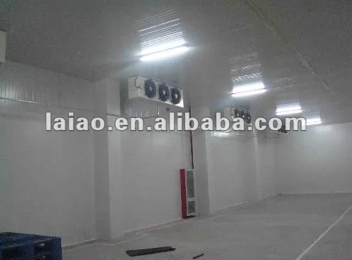 Walkin Cold Room (cold Storage, Walk In Freezer Room,chilling Room ...