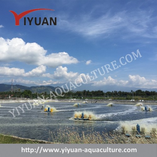 2hp Fish Farming Aerator, Paddlewheel Aerator, High Quality 2hp Fish ...