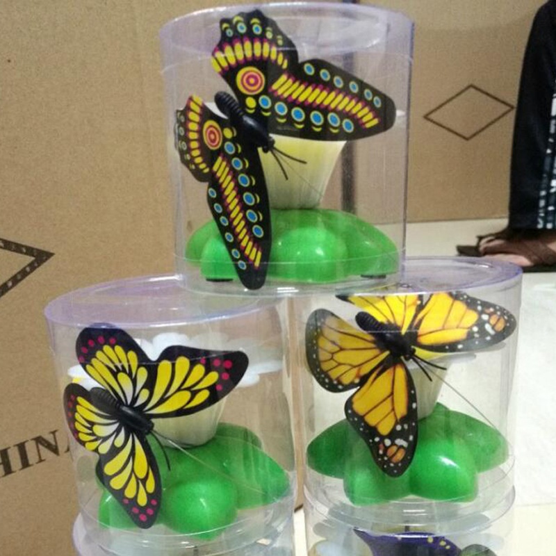 Butterfly Scratch Shake Rotate Catch Training Plastic Interactive Cat ...