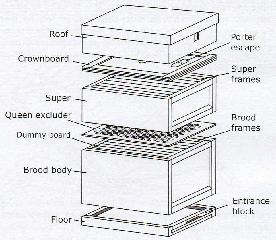 8 Frames Langstroth Bee Hive Two Layer Hive, High Quality 8 Frames ...