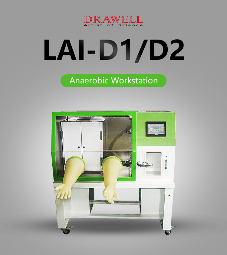 High Accuracy Anaerobic Incubator Dw Lai 3 Double Heating Thermostat ...